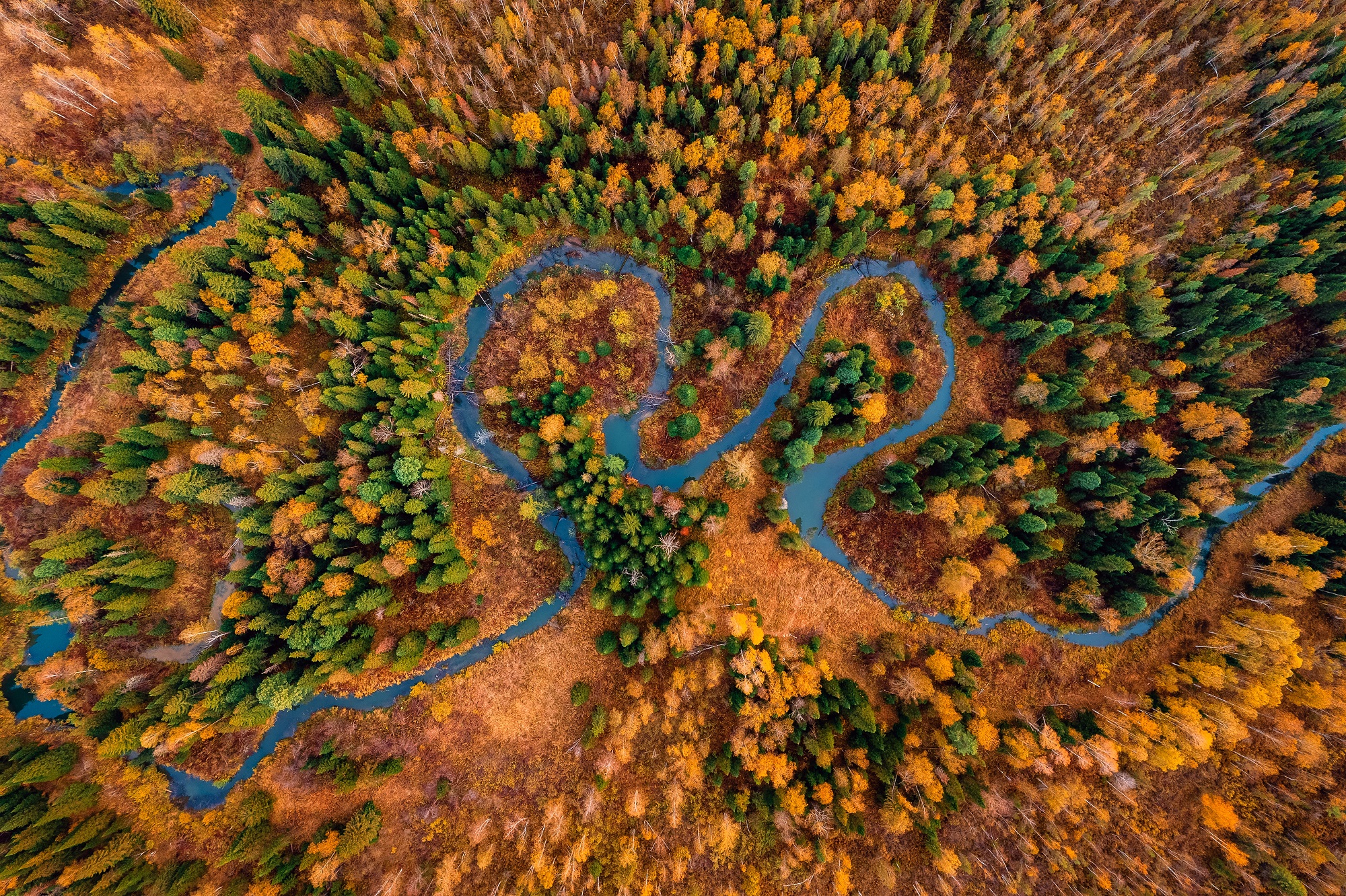 Digital Solutions | CRIF